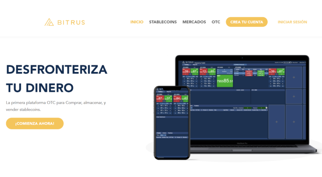 Bitrus - Talan.tech - Software Development, AI/ML, LLM Solution